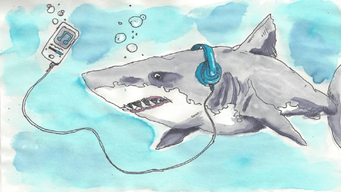Becoming Aware Of Our Shark Music – The Thought Co.